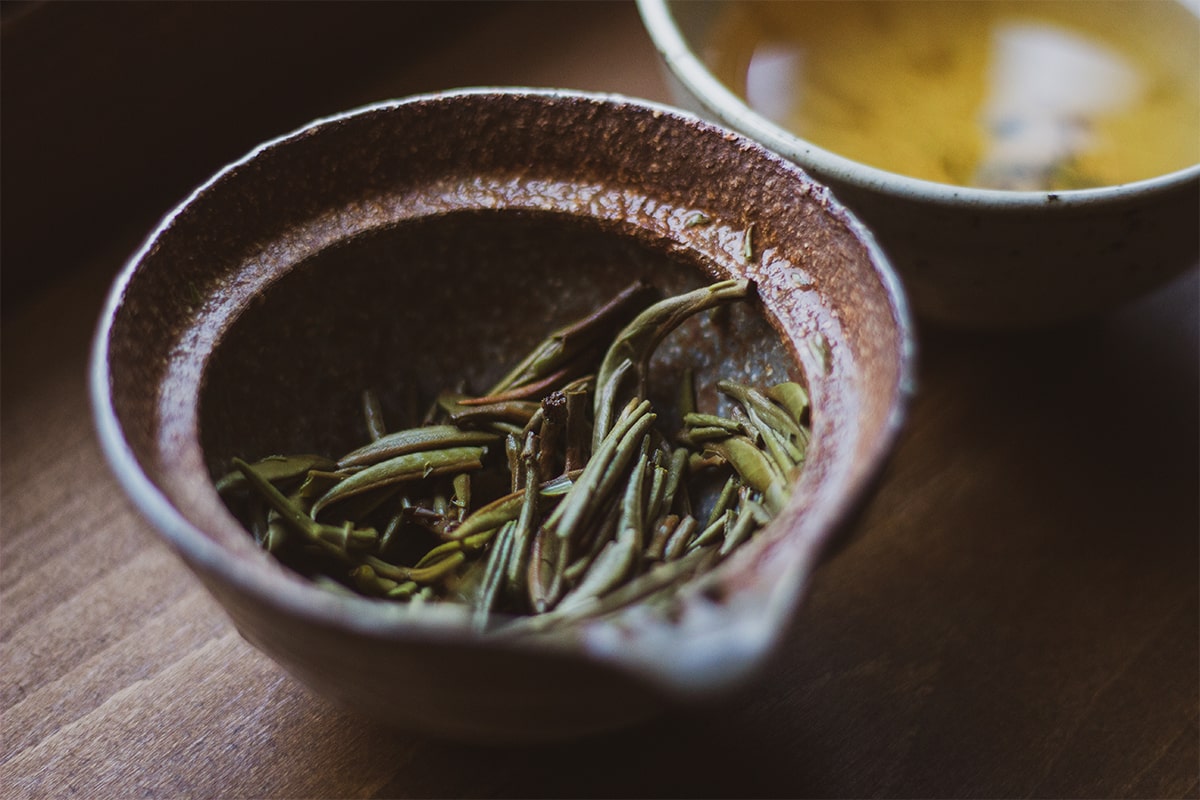 Guangxi Silver Needle Tea Tasting (Mei Leaf) – Tea Adventures