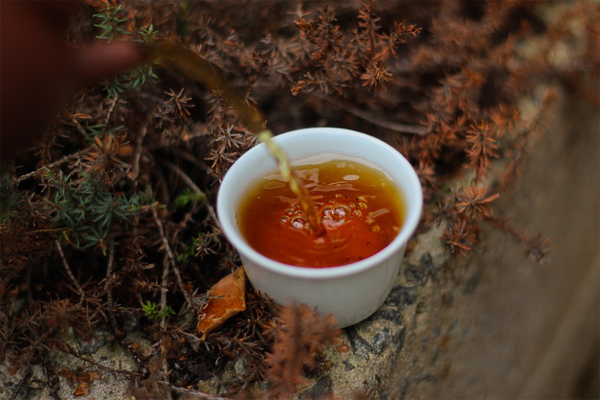 Wild Dian Hong Menghai Tea Tasting (Tee Kontor Kiel) – Tea Adventures