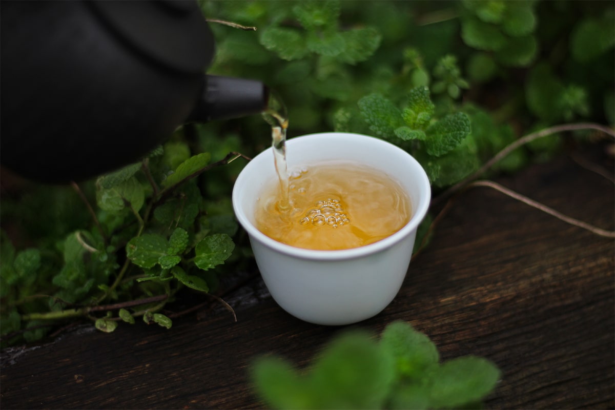 2019 ZSL Autumn Yibang Ma Li Shu Tea Tasting (Tea Encounter) – Tea ...