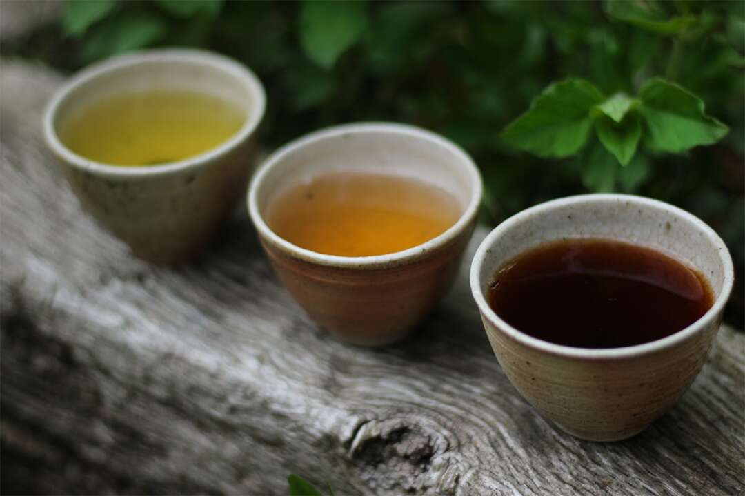 Different Types of Tea – Tea Adventures