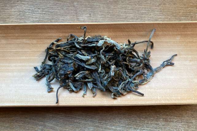 2019 Berlin Flows Ailao Gushu Tea Tasting (Xian Tea) – Tea Adventures